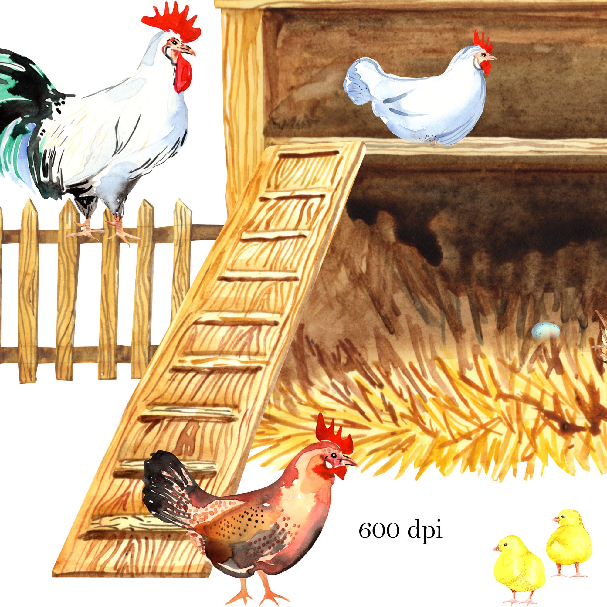 Watercolor Chicken Village Clipart, Farm Animals Clip Art, Rooster, Hen ...