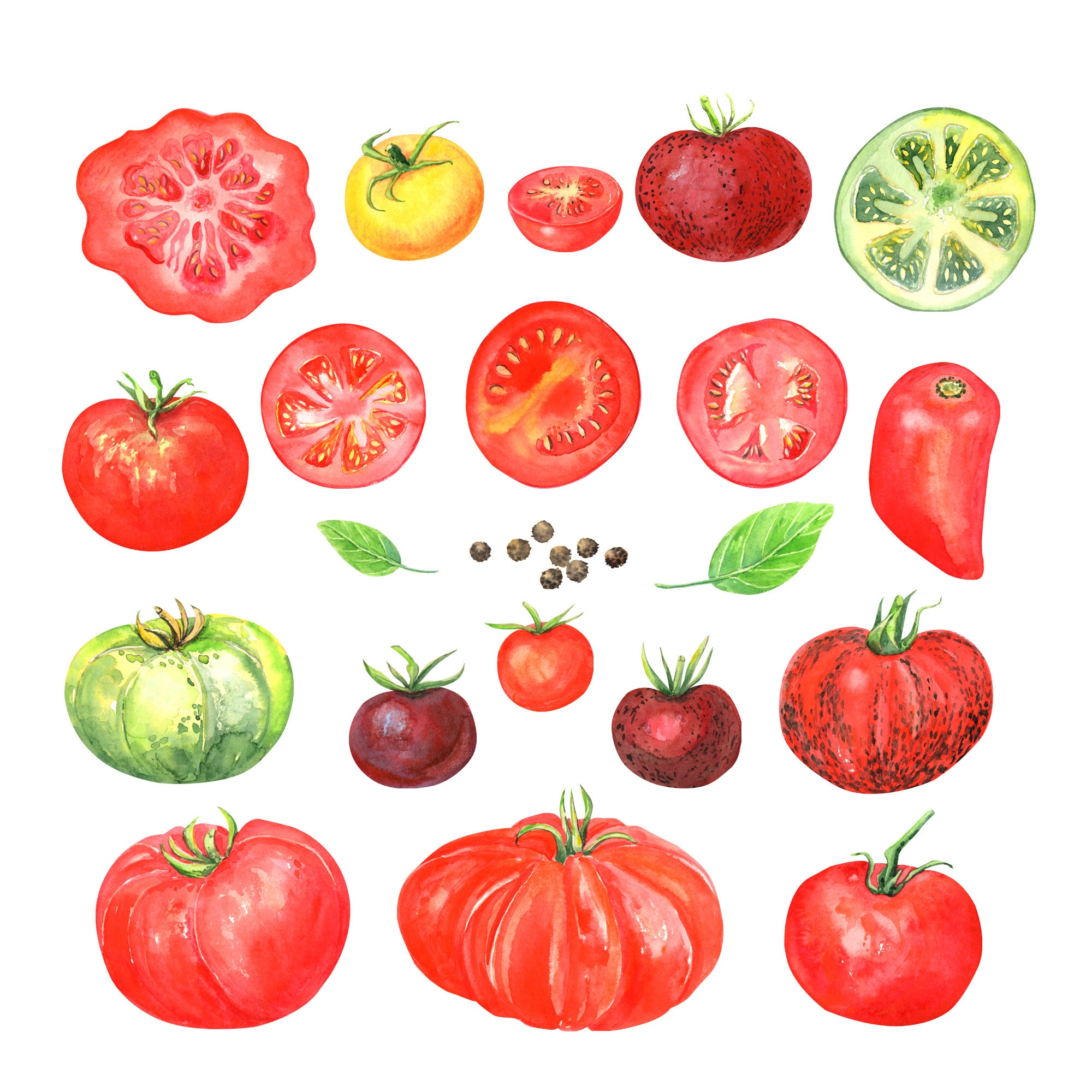 Watercolor Tomatoes Clipart - Cherry Tomatoes - Vegetables - Vegetarian ...