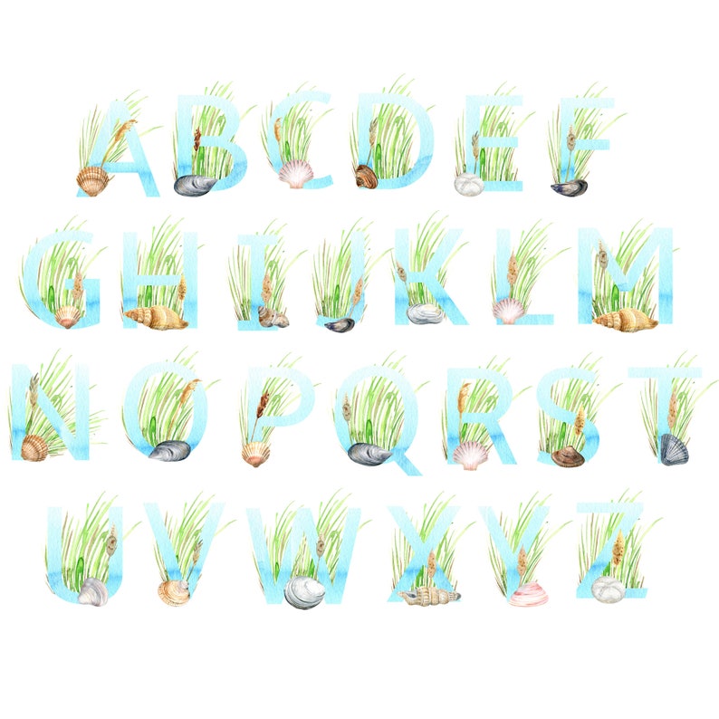 Watercolor Floral Alphabet, Shell, Beach, Embellished Letter Clip Art ...