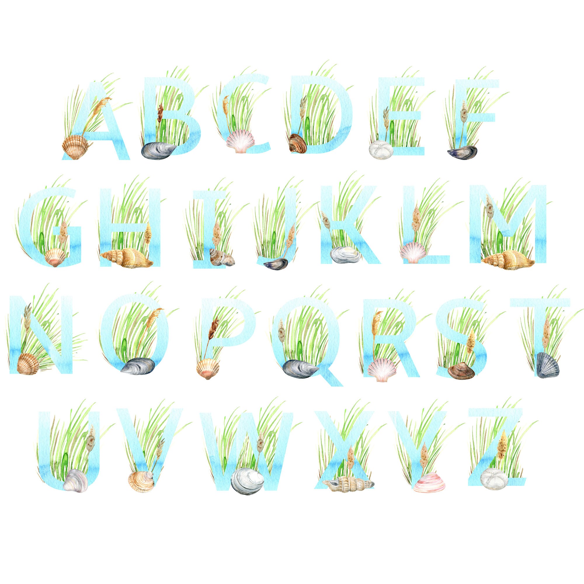 Watercolor Floral Alphabet, Shell, Beach, Embellished Letter Clip Art ...