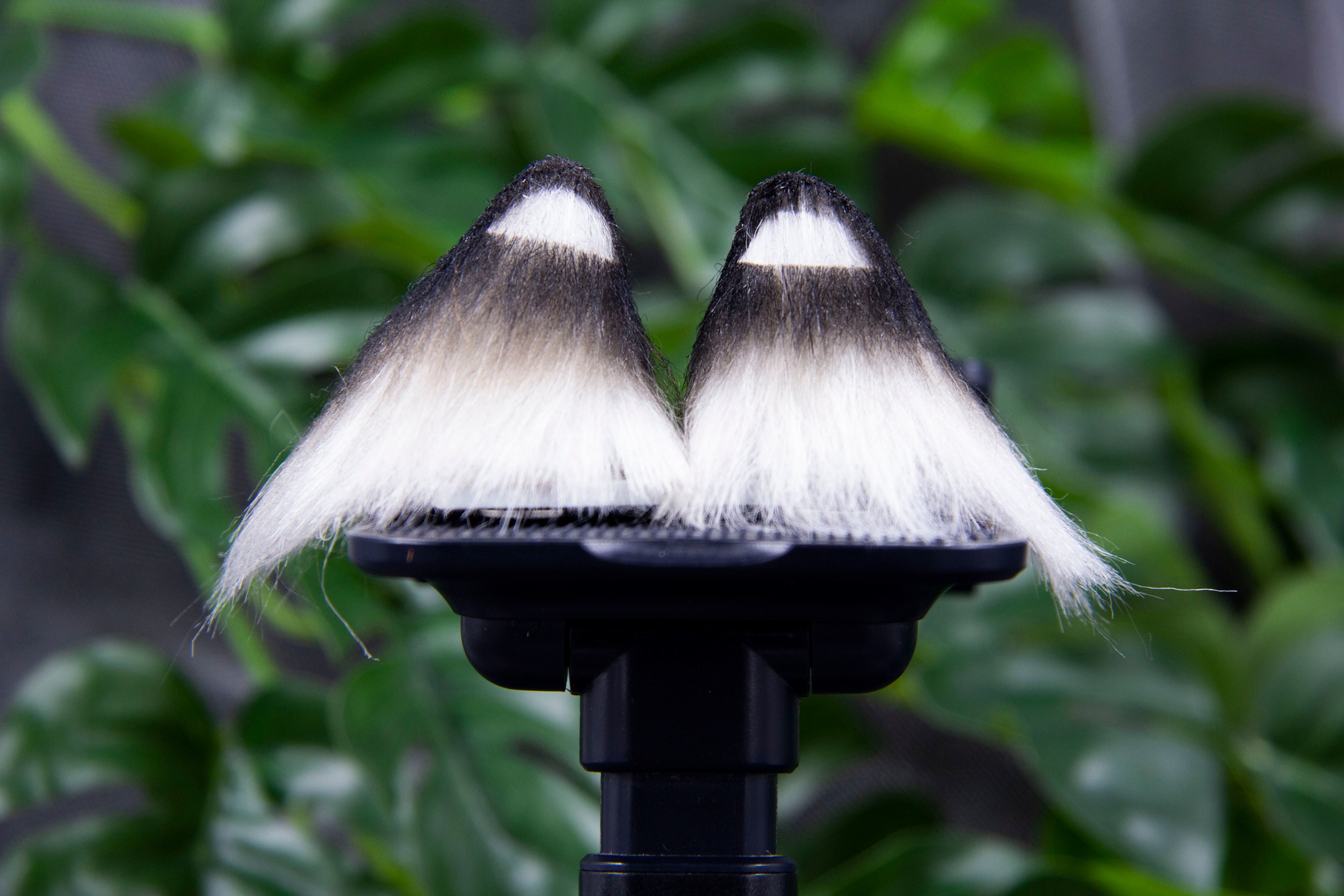 BJD doll Tiger Ears and Tail Set white | Etsy