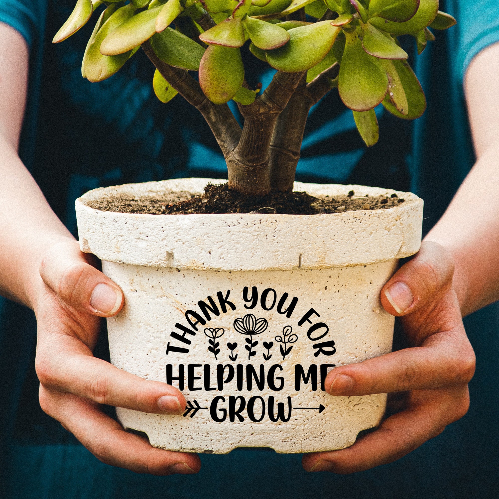 Thank You for Helping Me Grow Svg, Png, Eps, Pdf Files, Thank You for ...