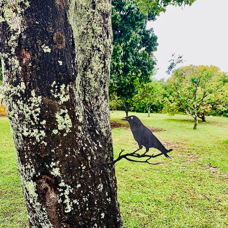 Crow in Tree - Etsy
