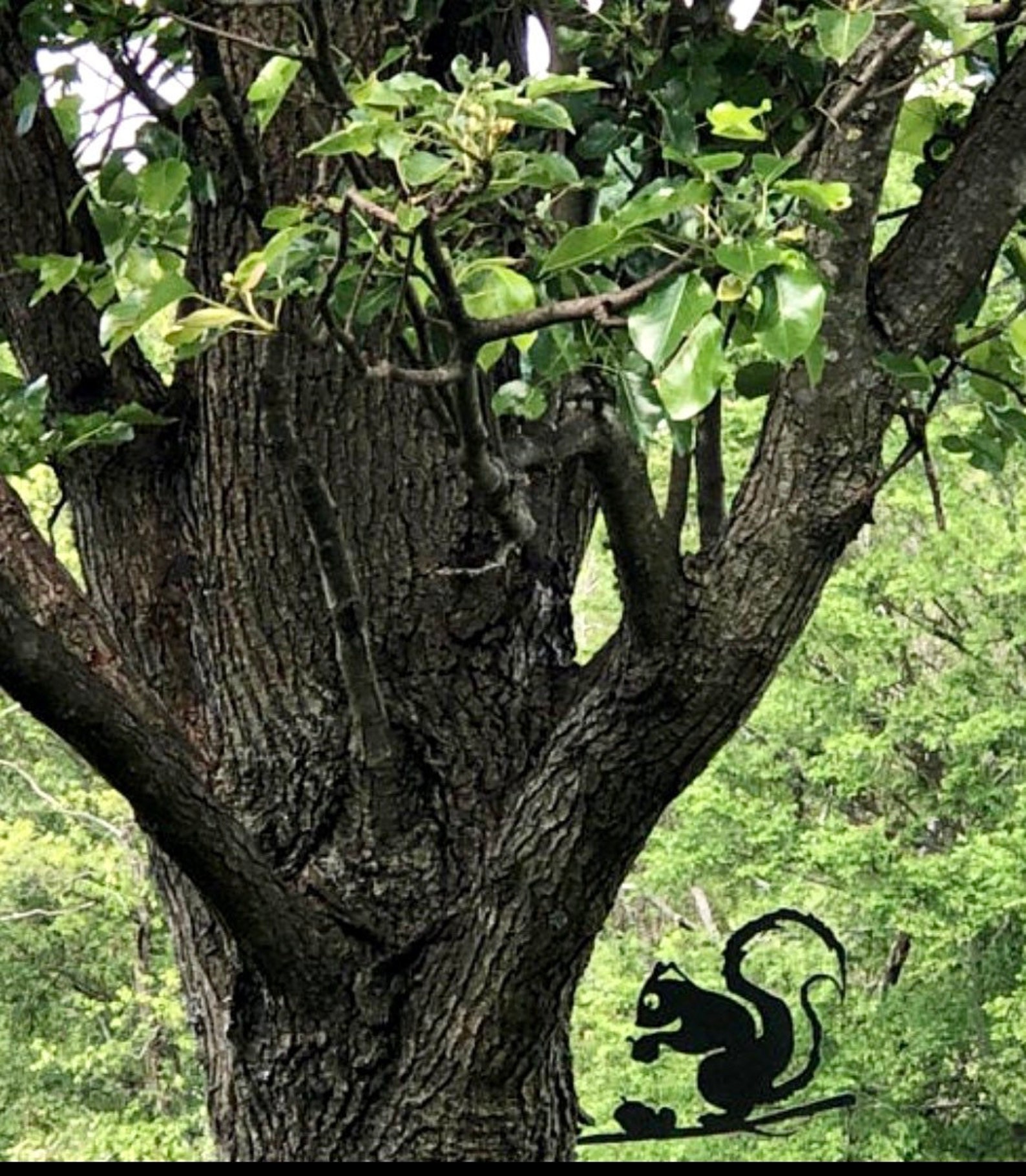 Metal Squirrel/home and Garden Decor/wedding Gift/metaltree | Etsy