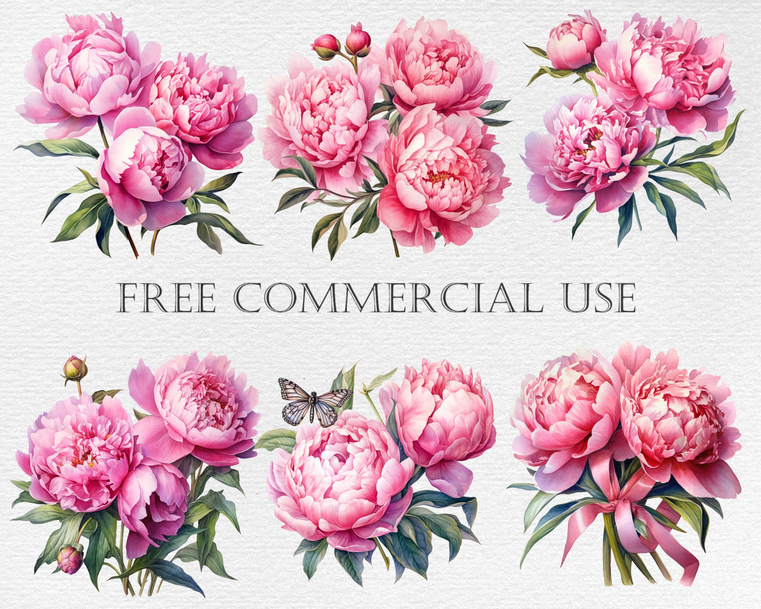 50 Png Pink Peonies Watercolor Clipart, Summer Flowers Clipart, Peonies ...