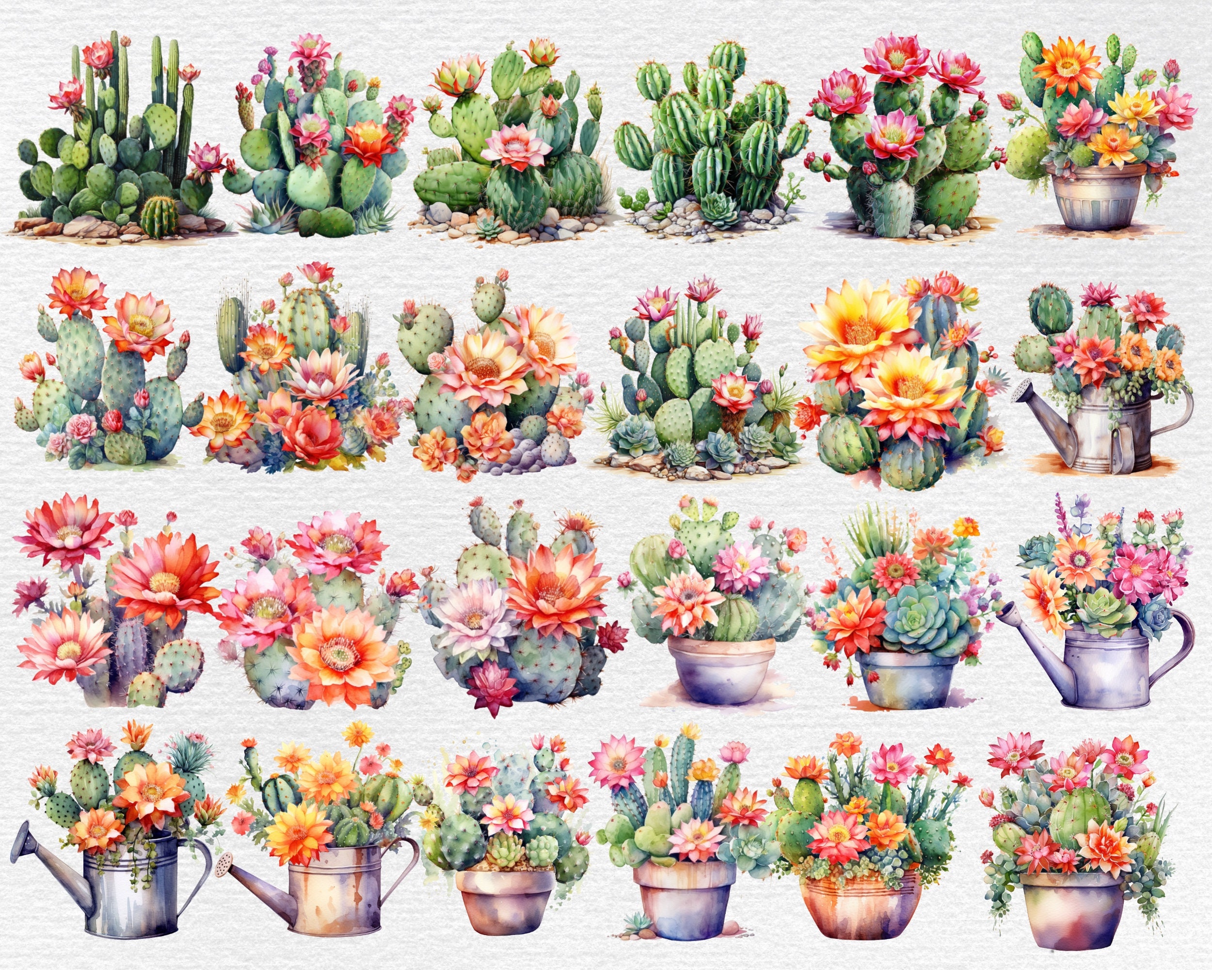 Cactus Watercolor Clipart Bundle 170 PNG Desert Plants - Etsy