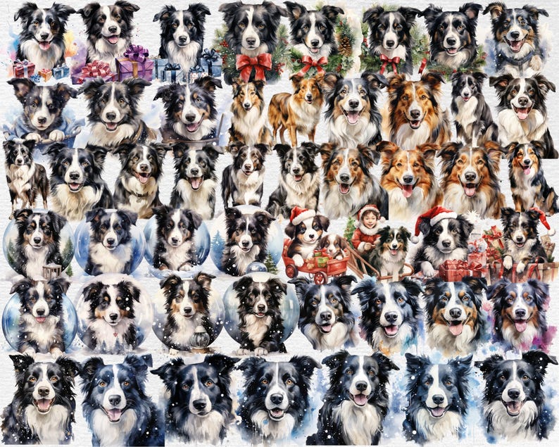 Border Collie Watercolor Clipart Bundle, 351 PNG Adorable Images, Cute ...