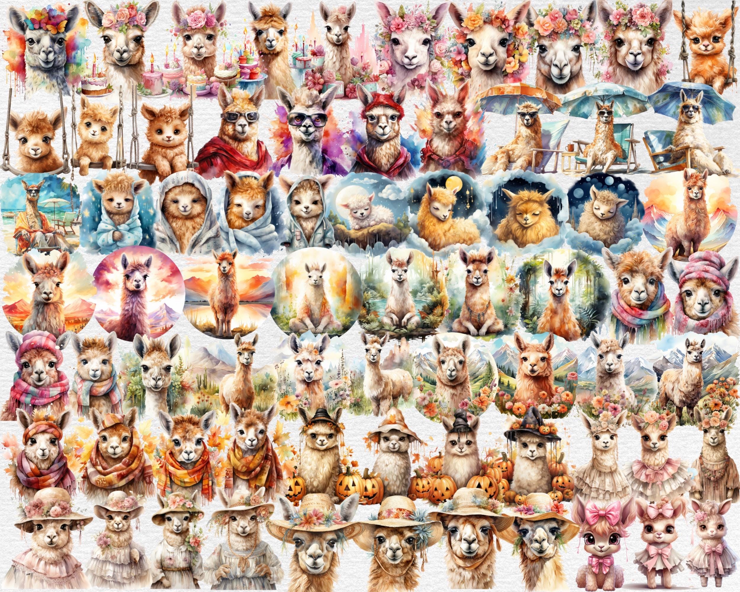 Lamas Watercolor Clipart Bundle - 531 PNG Cute Baby Lamas Images ...