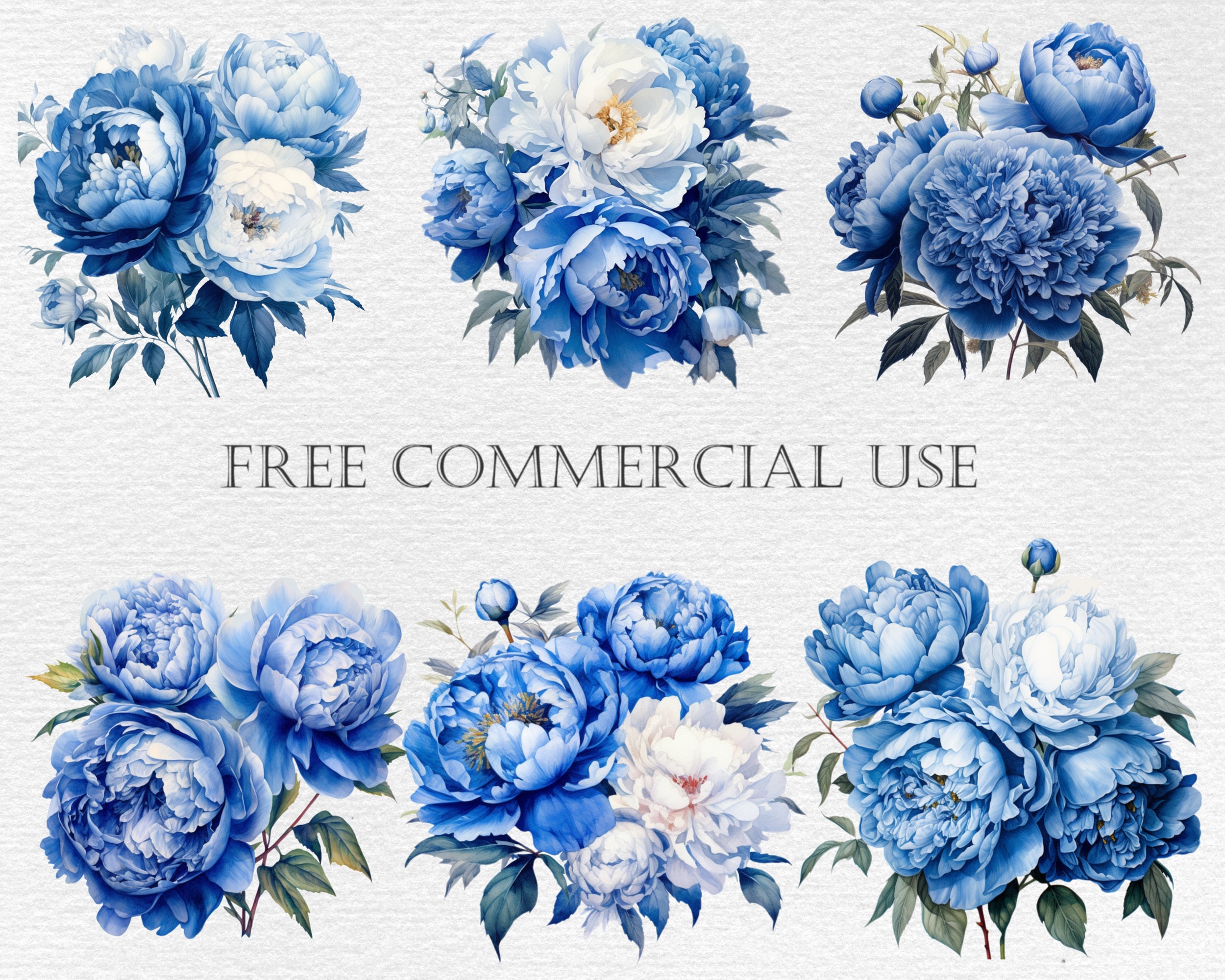 57 Blue Peony Clipart Megapack transparent PNG Full - Etsy