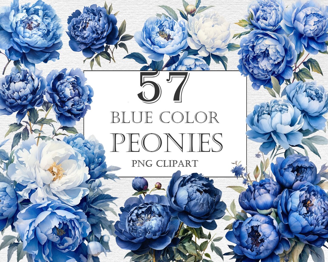 57 Blue Peony Clipart Megapack transparent PNG, Full Commercial Use ...