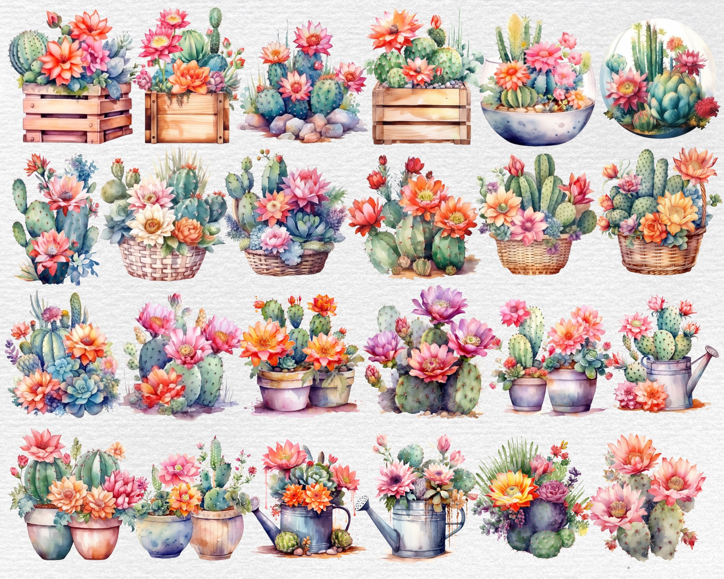 Cactus Watercolor Clipart Bundle 170 PNG Desert Plants - Etsy