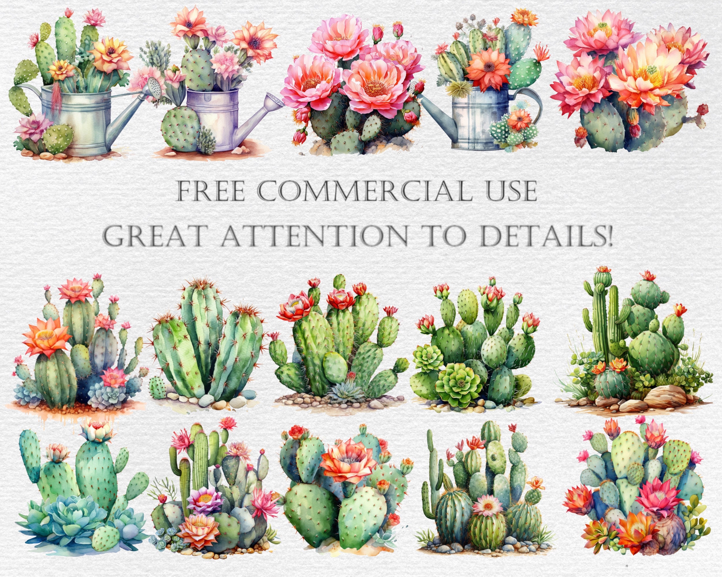 Cactus Watercolor Clipart Bundle 170 PNG Desert Plants - Etsy
