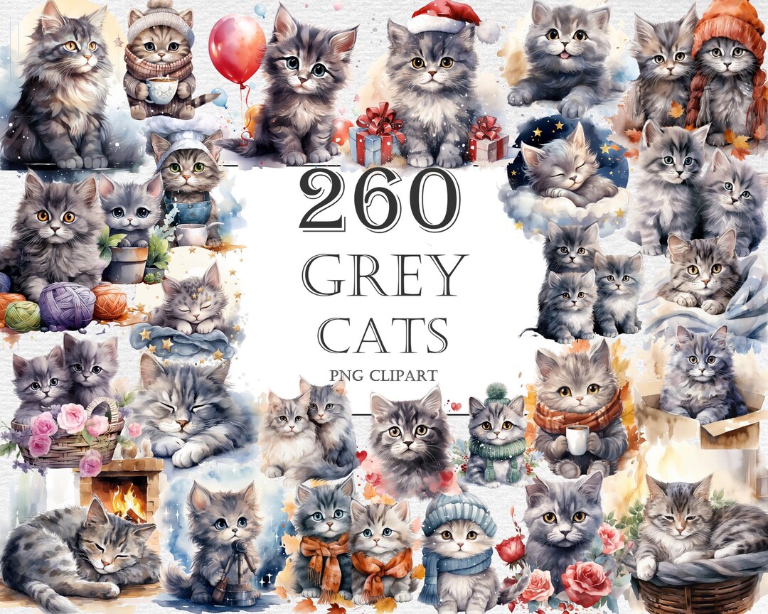 Grey Cats Watercolor Clipart Bundle 260 PNG Adorable Images, Cute ...