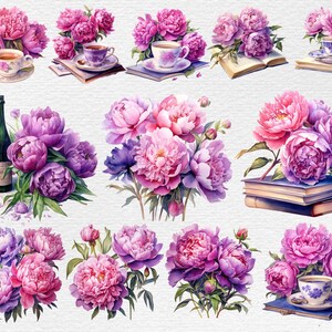 Pink & Purple Peonies Watercolor Clipart, Summer Flowers Clipart ...