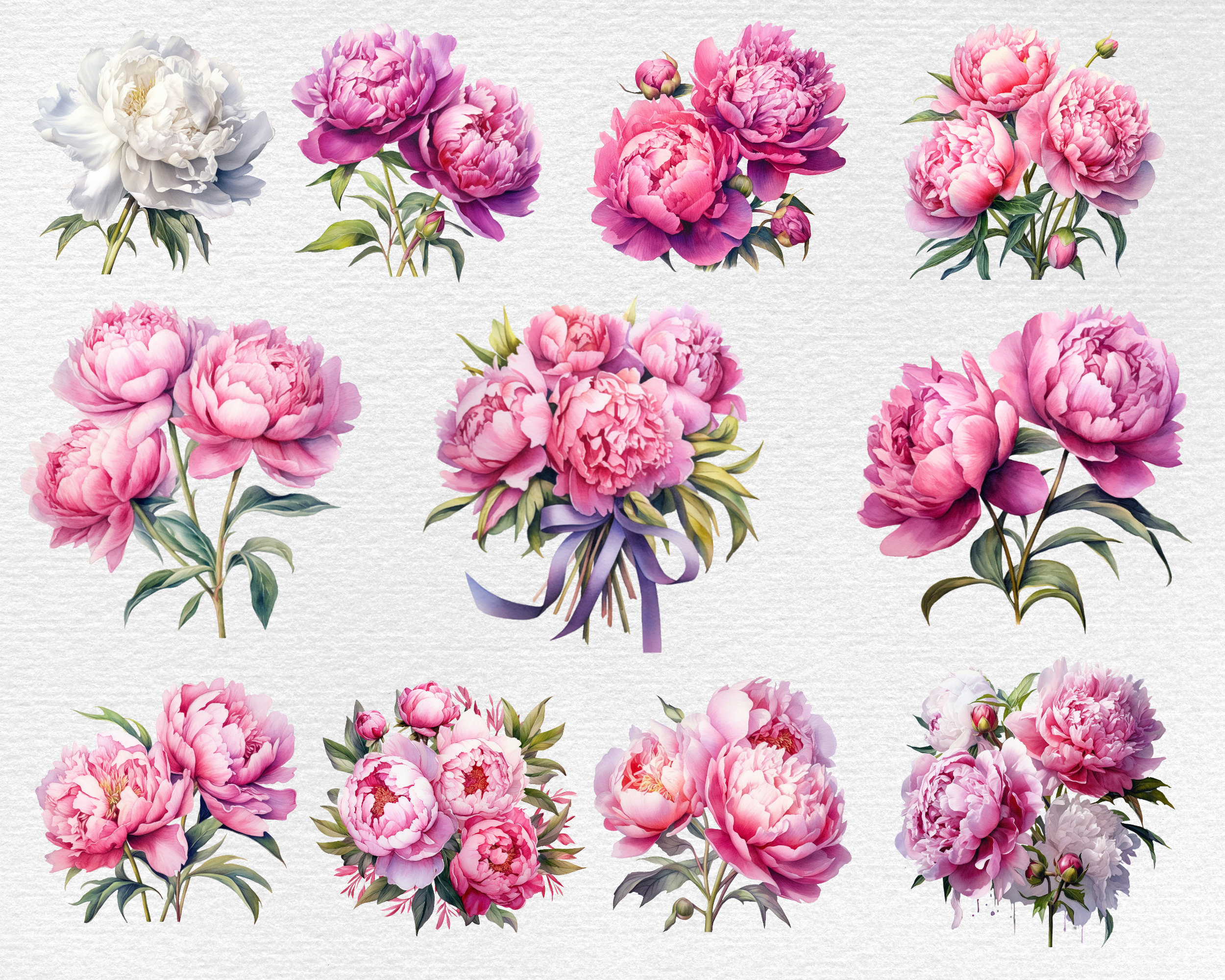 50 Png Pink Peonies Watercolor Clipart, Summer Flowers Clipart, Peonies ...