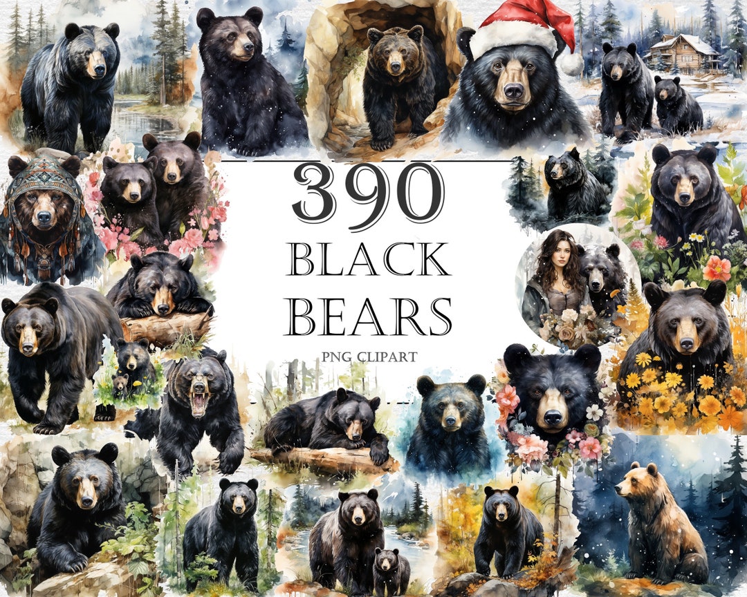 Black Bears Watercolor Clipart Bundle - 390 PNG Forest Animal Images ...