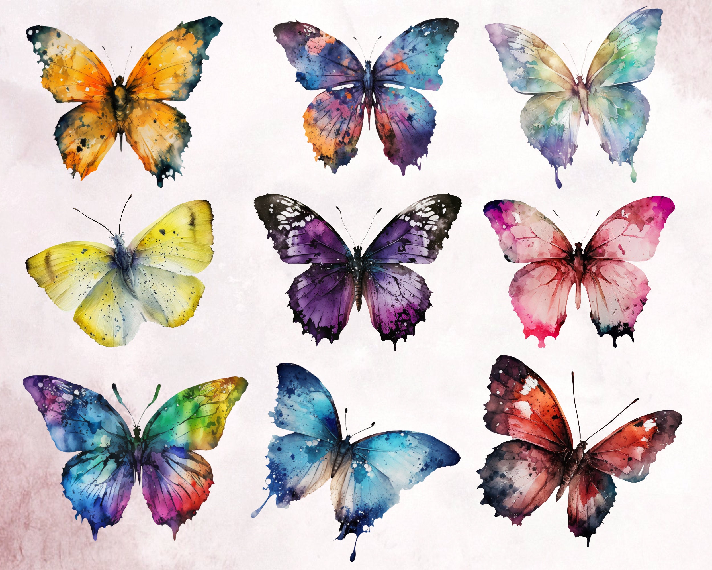 Watercolor Butterfly Clipart Butterflies Illustration Set - Etsy