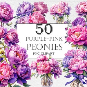 Pink & Purple Peonies Watercolor Clipart, Summer Flowers Clipart ...