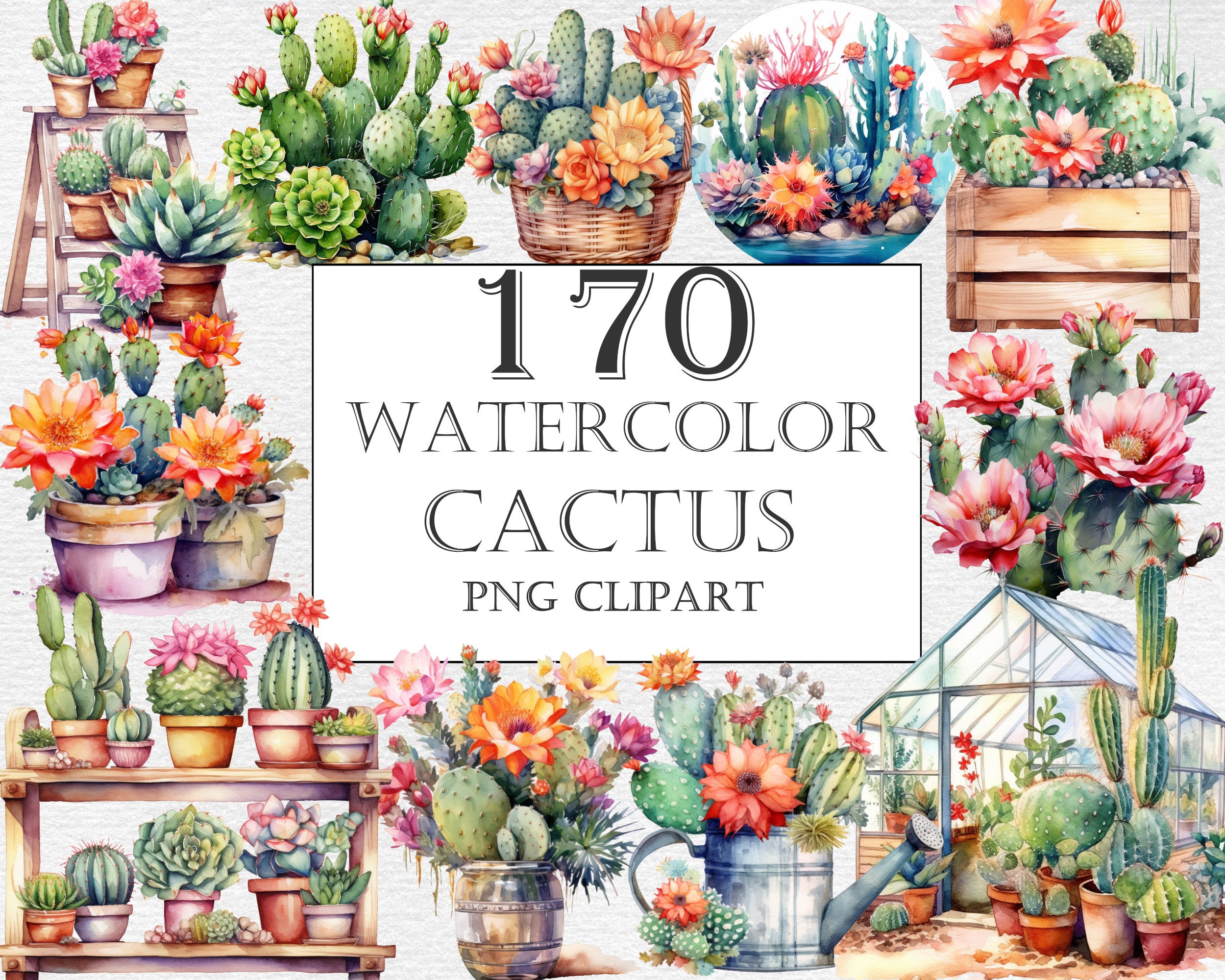Cactus Watercolor Clipart Bundle 170 PNG Desert Plants - Etsy