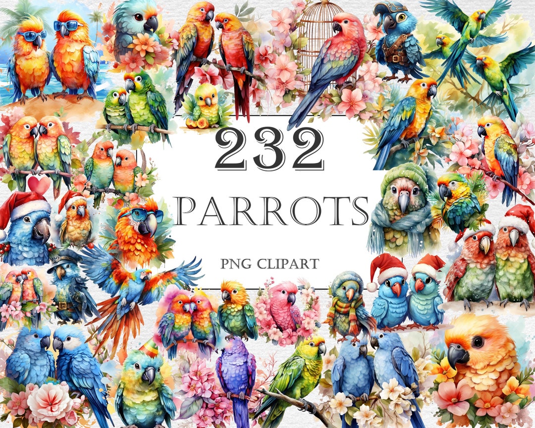 Parrots Watercolor Clipart Bundle - 232 PNG Parrots Images, Cartoon ...