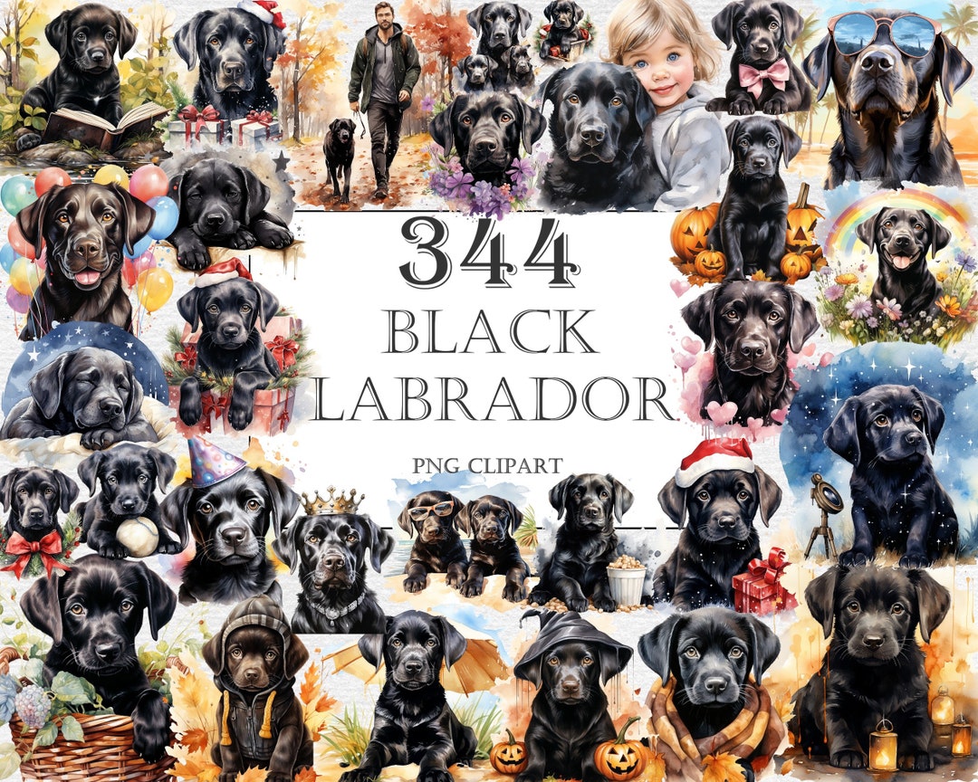Black Labrador Watercolor Clipart Bundle, 344 PNG Adorable Labrador ...