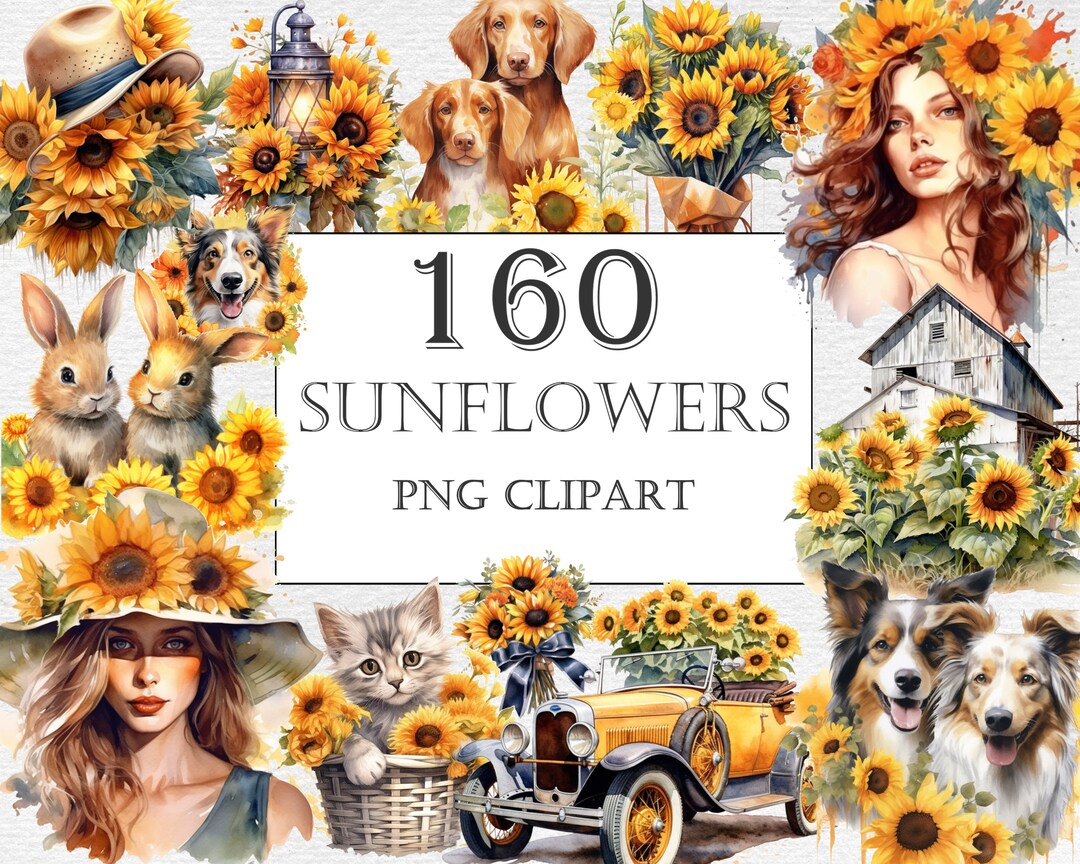 Sunflowers Watercolor Clipart Bundle - 160 PNG Images of Bright Summer ...