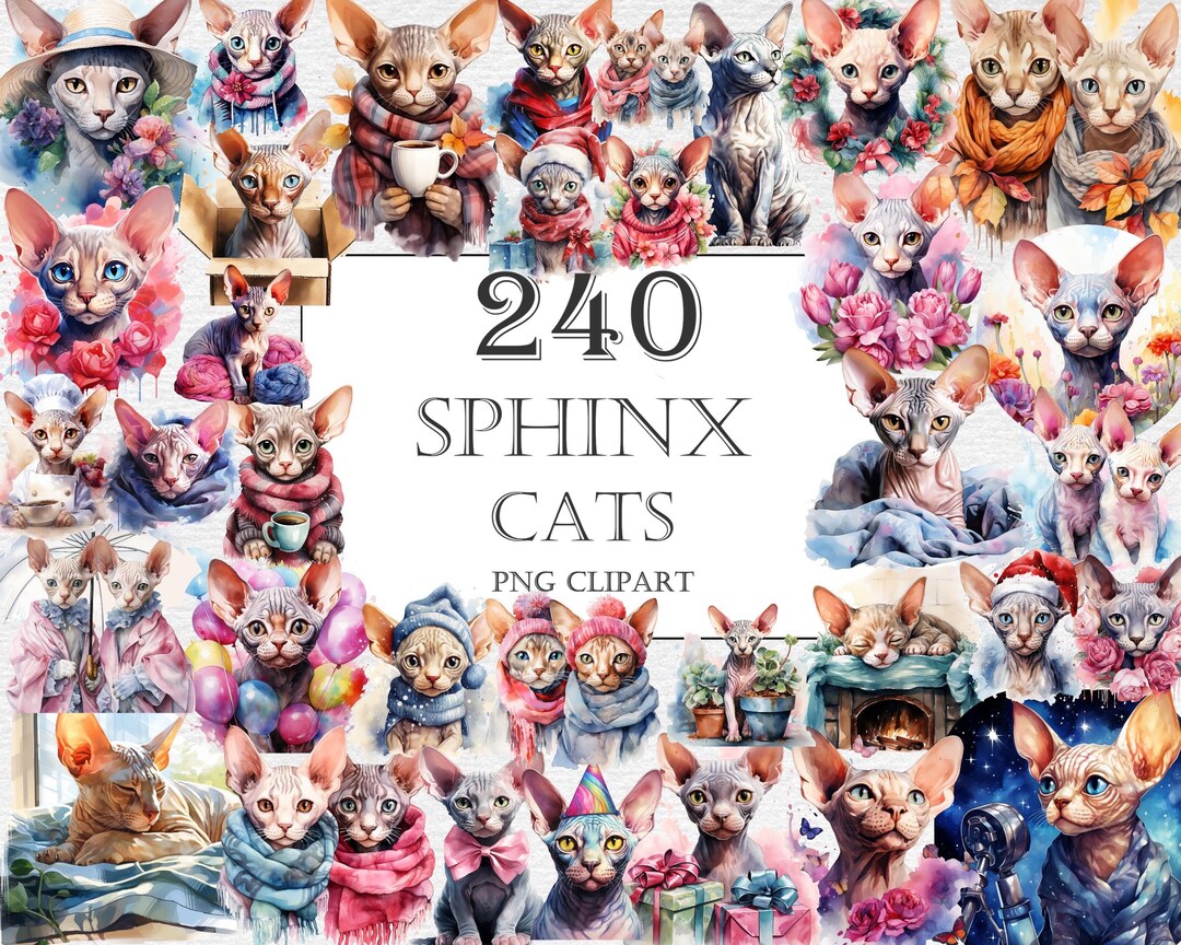 Sphinx Cats Watercolor Clipart Bundle - 240 PNG Adorable Images, Cute ...