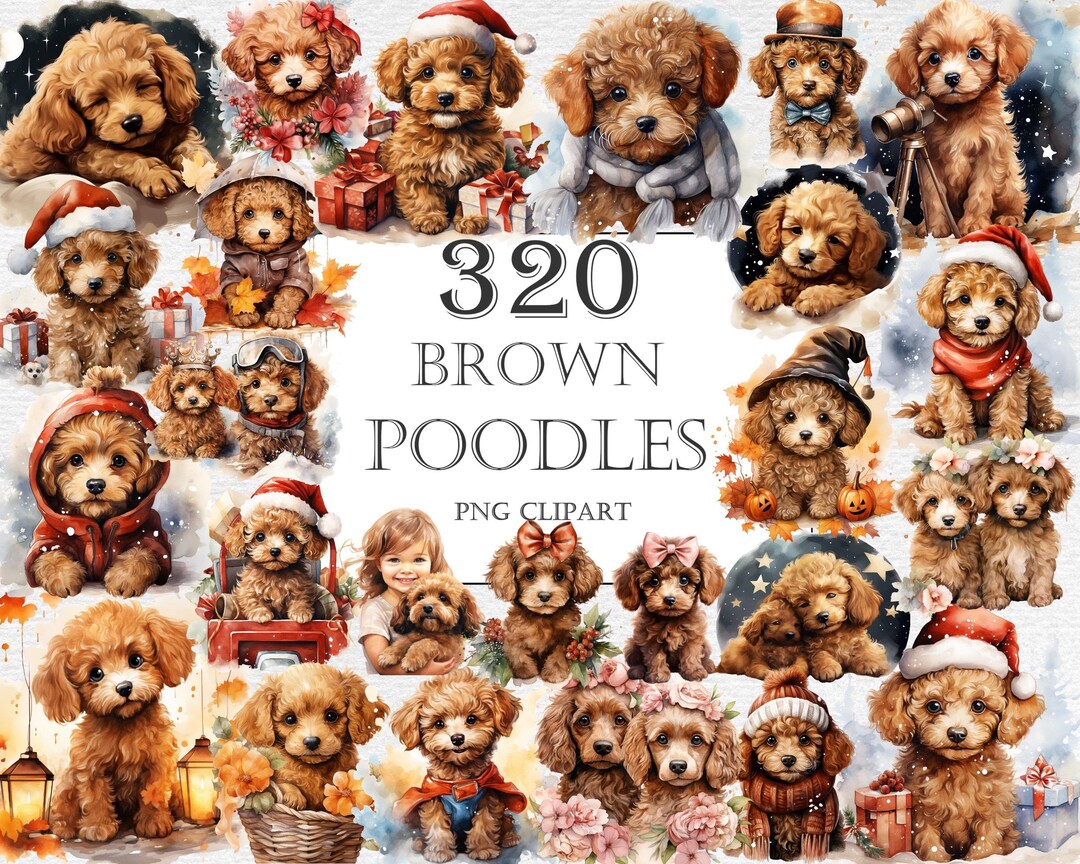 Brown Poodle Watercolor Clipart Bundle - 320 PNG Adorable Images, Cute ...