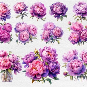 Pink & Purple Peonies Watercolor Clipart, Summer Flowers Clipart ...