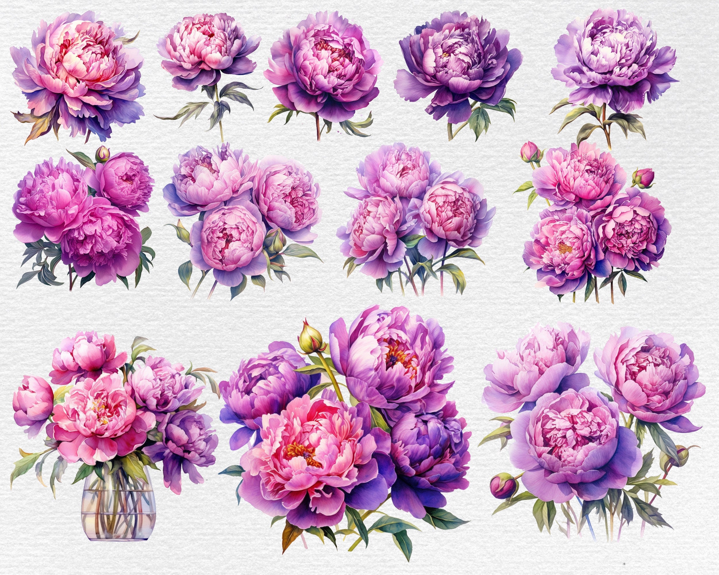 Pink & Purple Peonies Watercolor Clipart, Summer Flowers Clipart ...