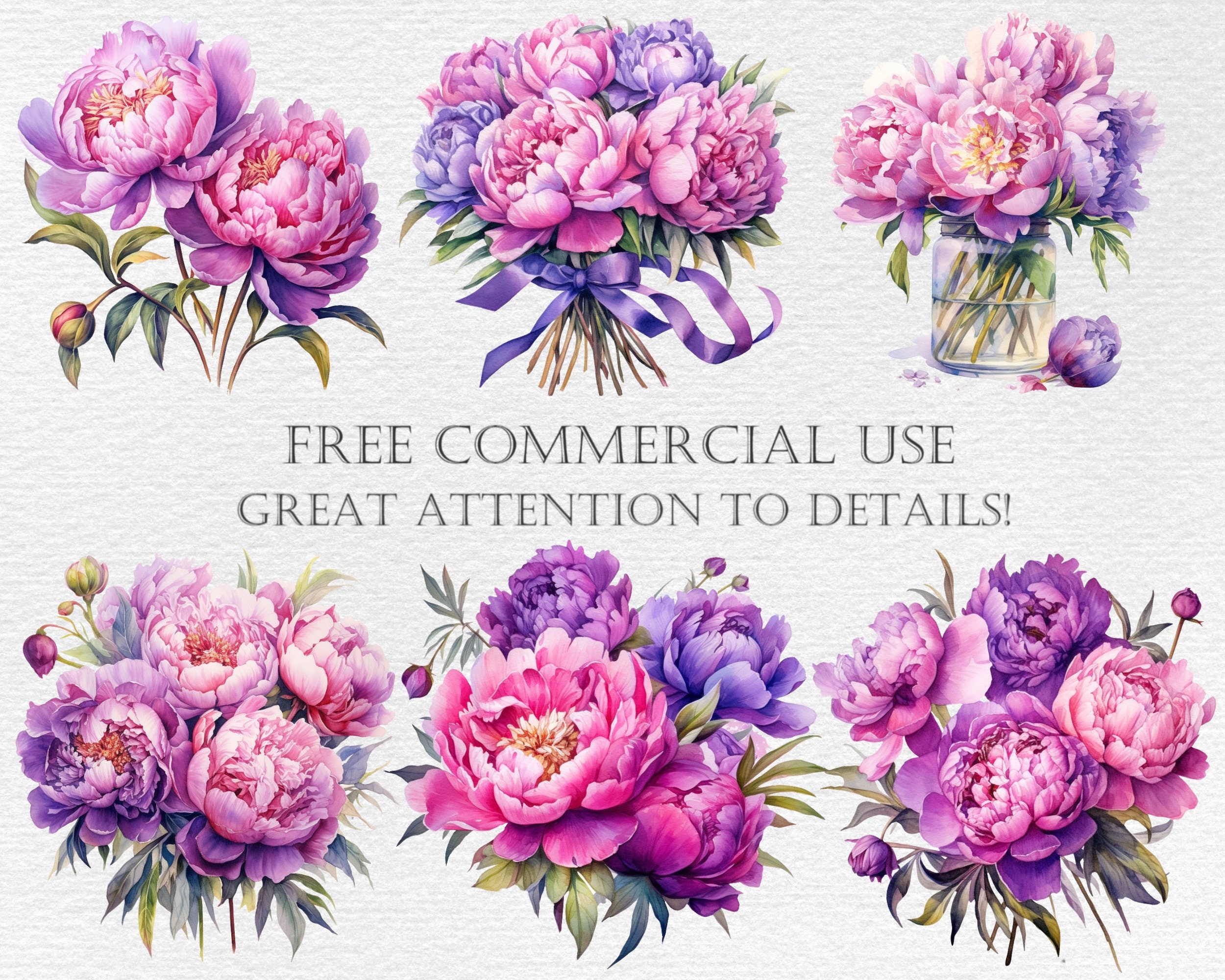 Pink & Purple Peonies Watercolor Clipart Summer Flowers - Etsy