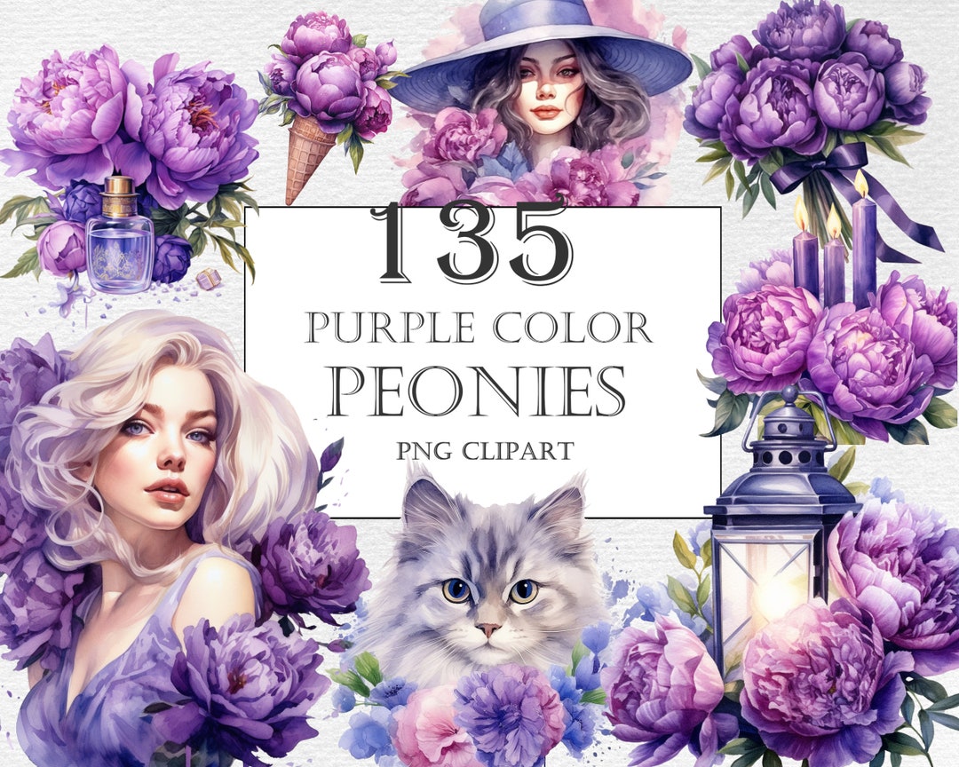 Watercolor Purple Peony Clipart, 135 PNG, Watercolor Flowers Peonies ...