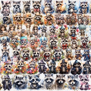 Raccoons Watercolor Clipart Bundle, 550 PNG Cute Forest Raccoon Images ...