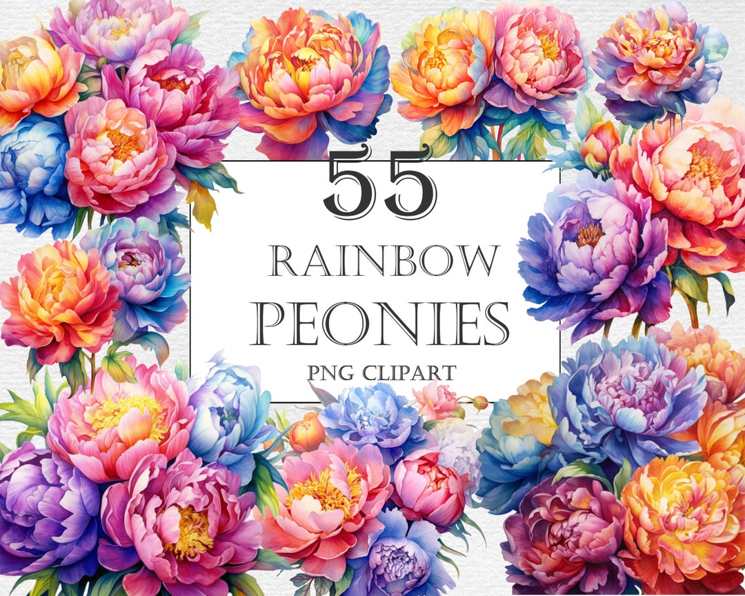 55 Rainbow Peonies Watercolor Clipart, Summer Flowers Clipart, Peonies ...