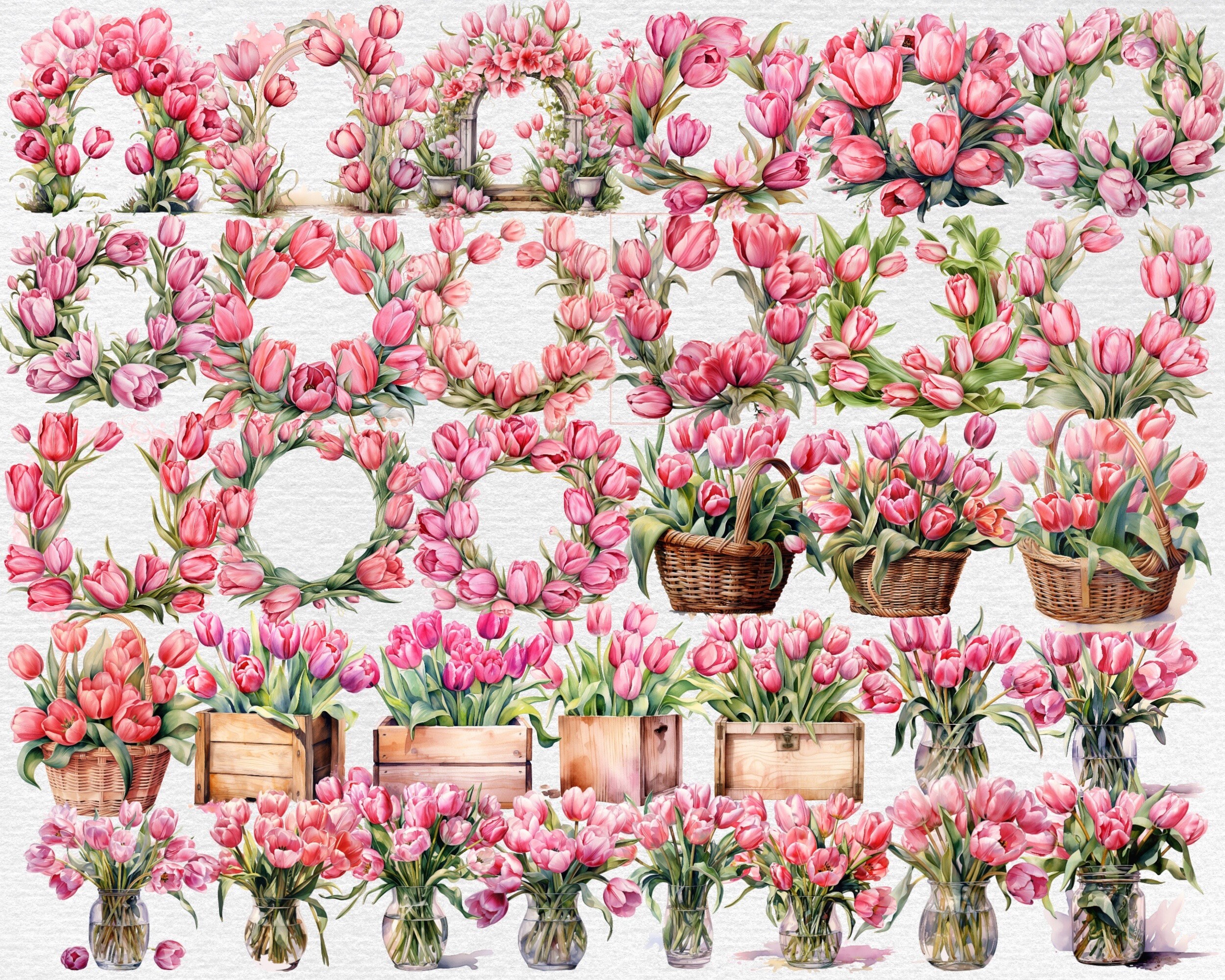 Pink Tulips Watercolor Clipart Bundle, 201 PNG Tulip Flower Images ...