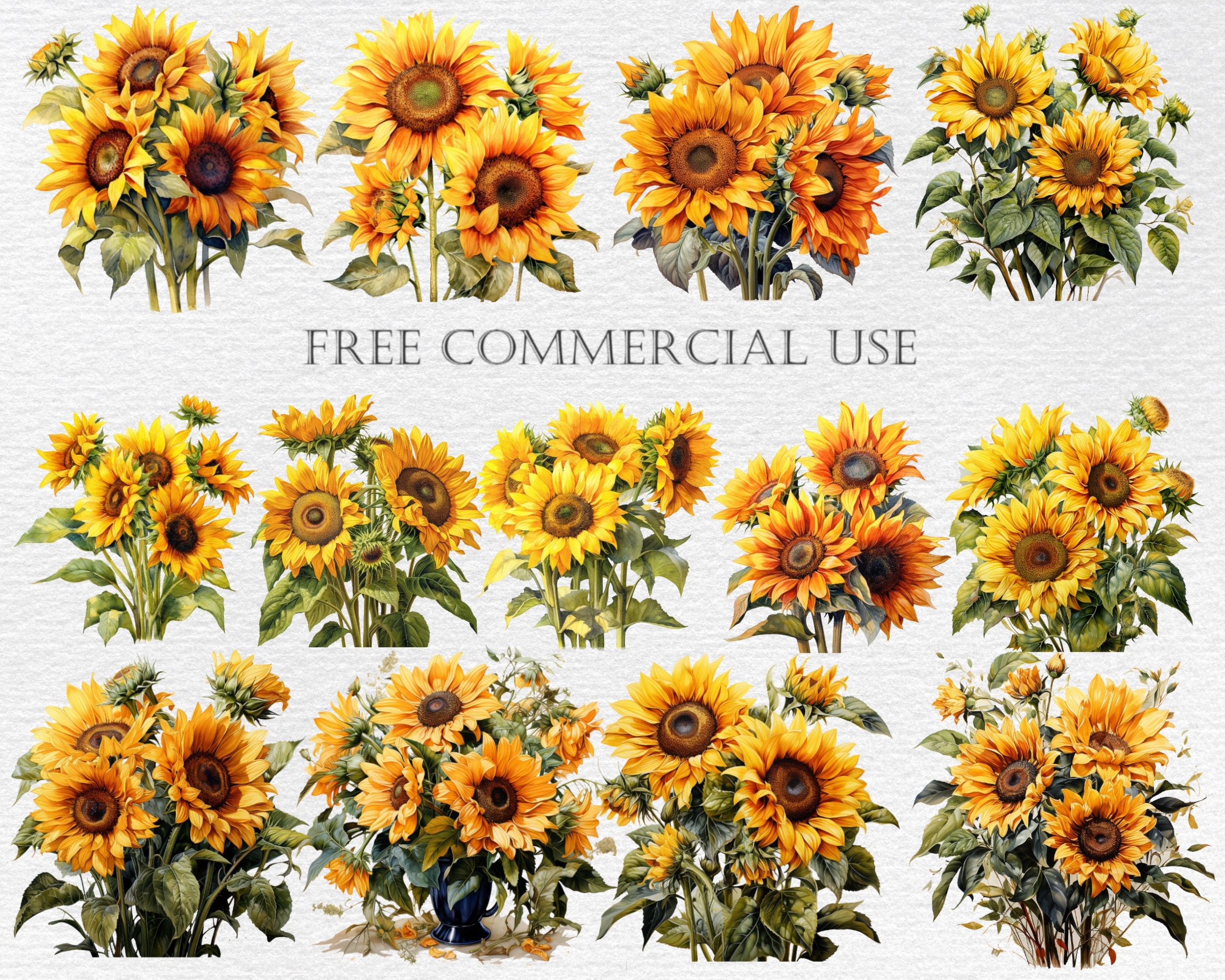 50 Watercolor Sunflowers Clipart, Fall Sunflower Floral Bouquets in PNG ...