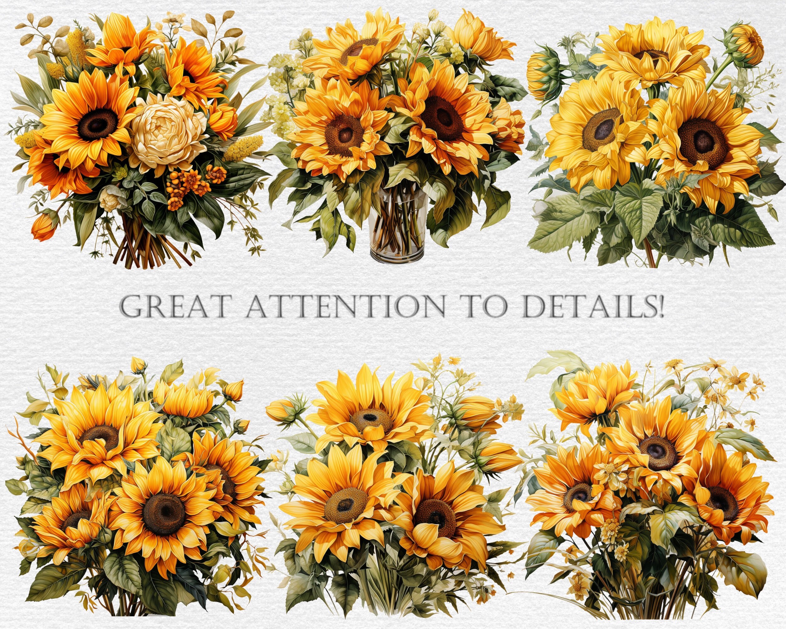 50 Watercolor Sunflowers Clipart Fall Sunflower Floral - Etsy