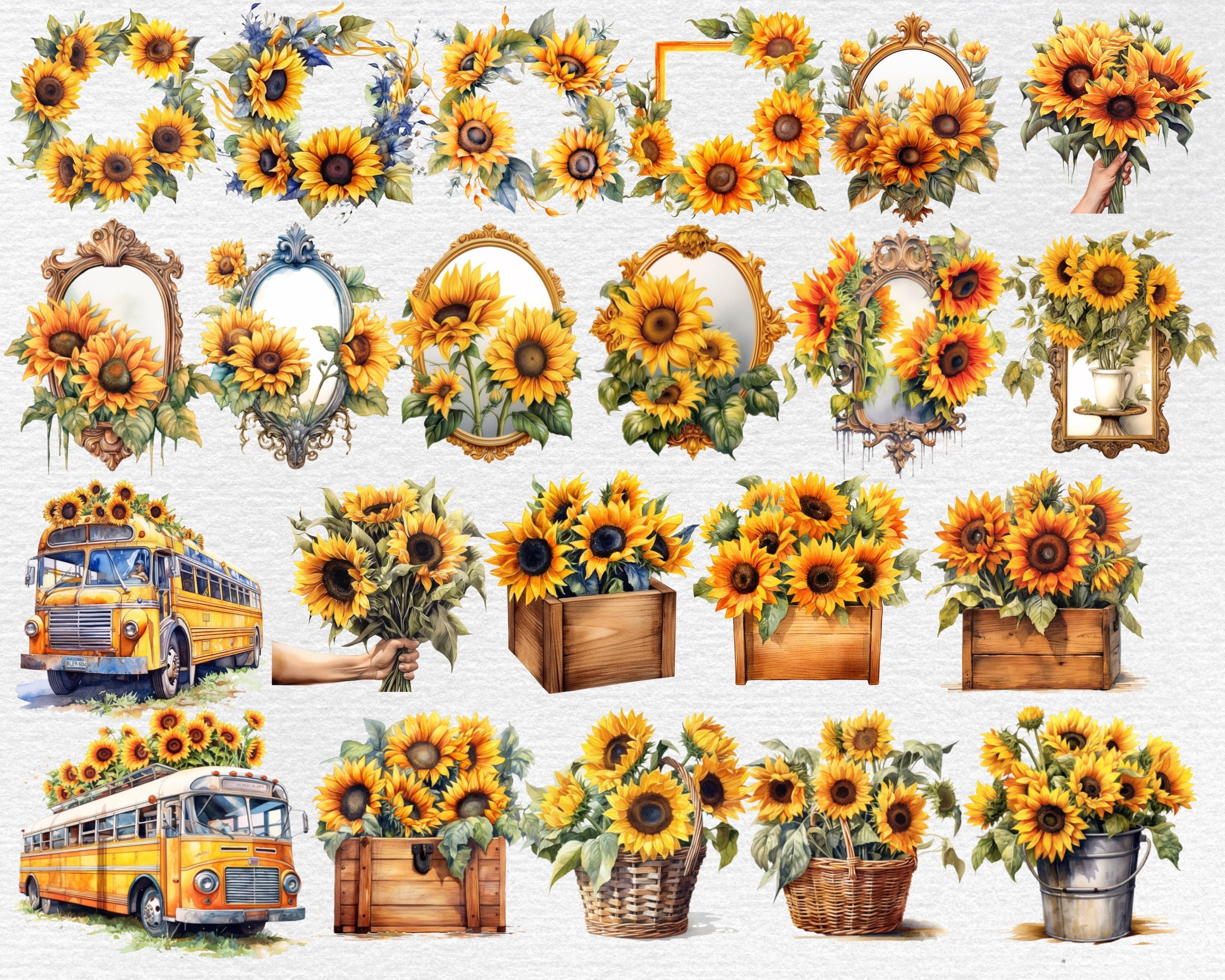 Sunflowers Watercolor Clipart Bundle 160 PNG Images of - Etsy