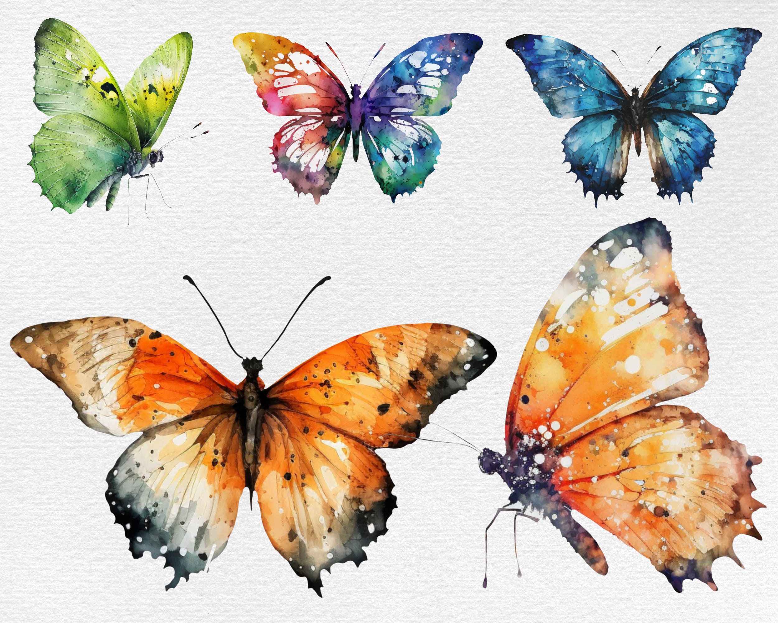 Watercolor Butterfly Clipart Butterflies Illustration Set - Etsy