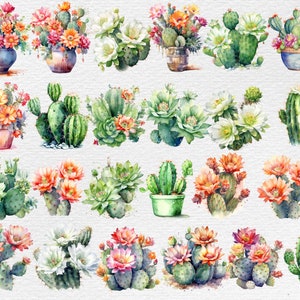 Cactus Watercolor Clipart Bundle 170 PNG, Desert Plants Clipart ...
