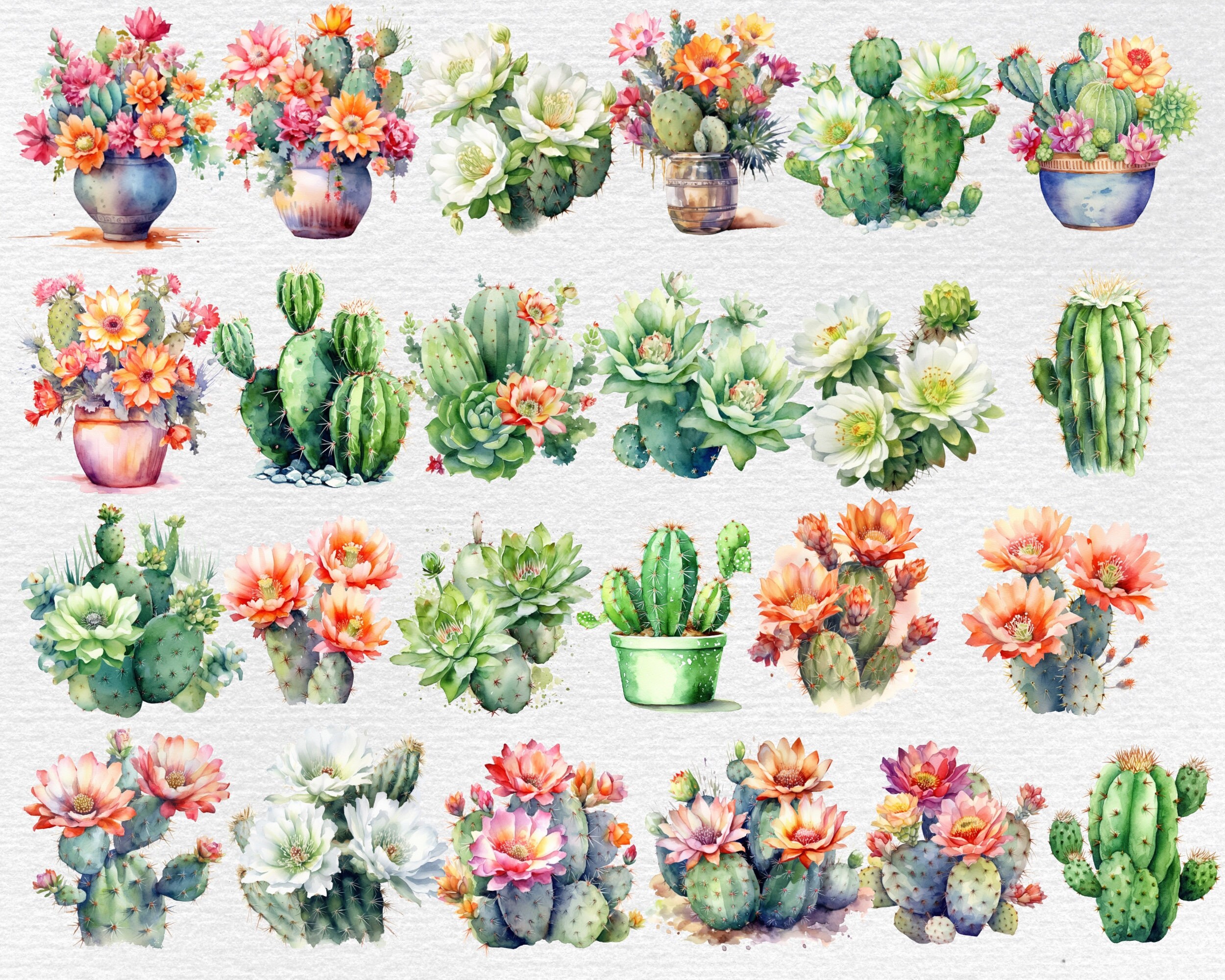 Cactus Watercolor Clipart Bundle - 170 PNG, Desert Plants Clipart ...