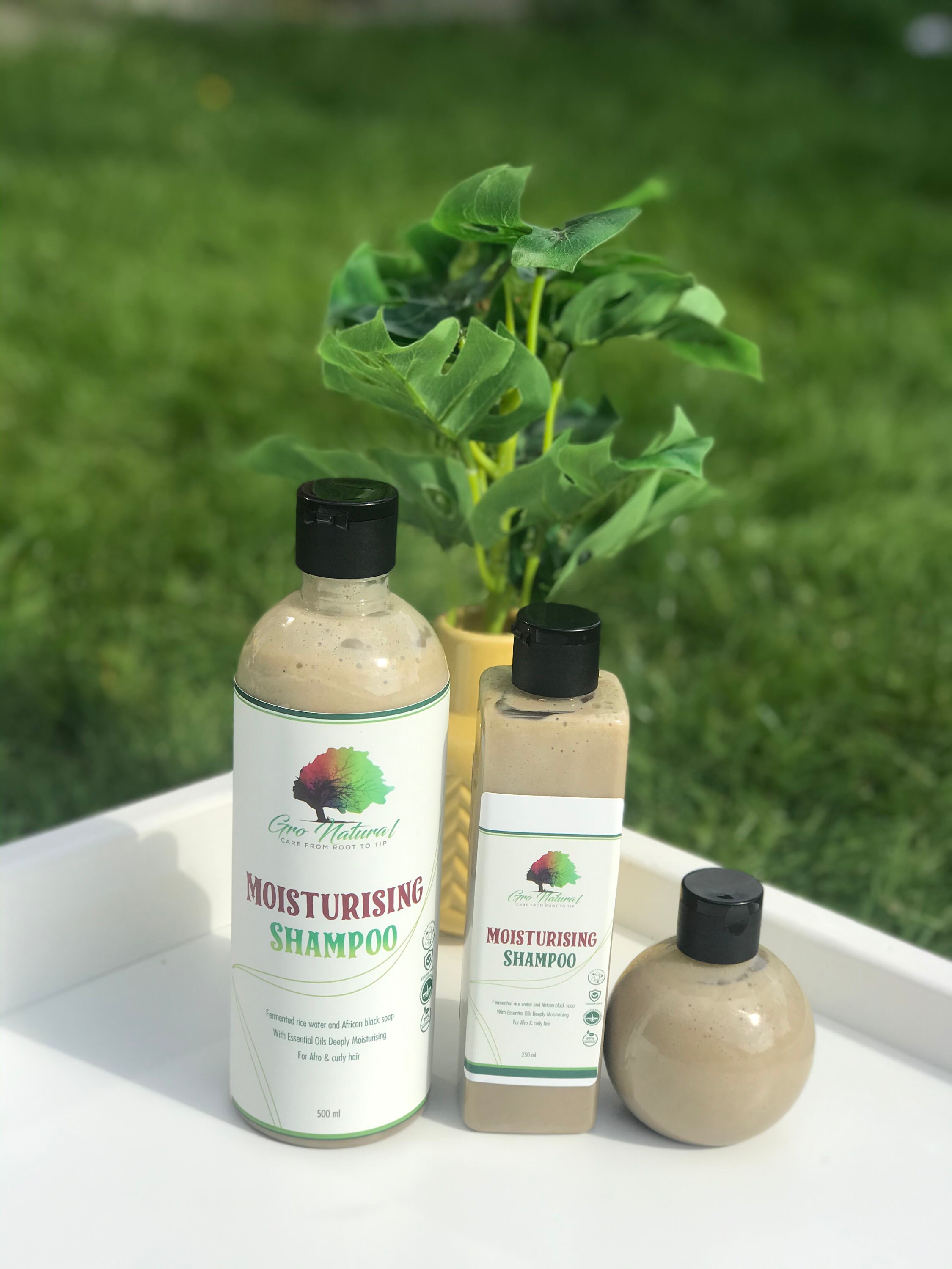 Fermented Rice Water and African Black Soap Shampoo - Etsy