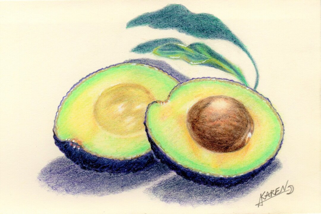 AVOCADO IN COLORPENCIL - Art Print 10"x6" Unframed - Etsy