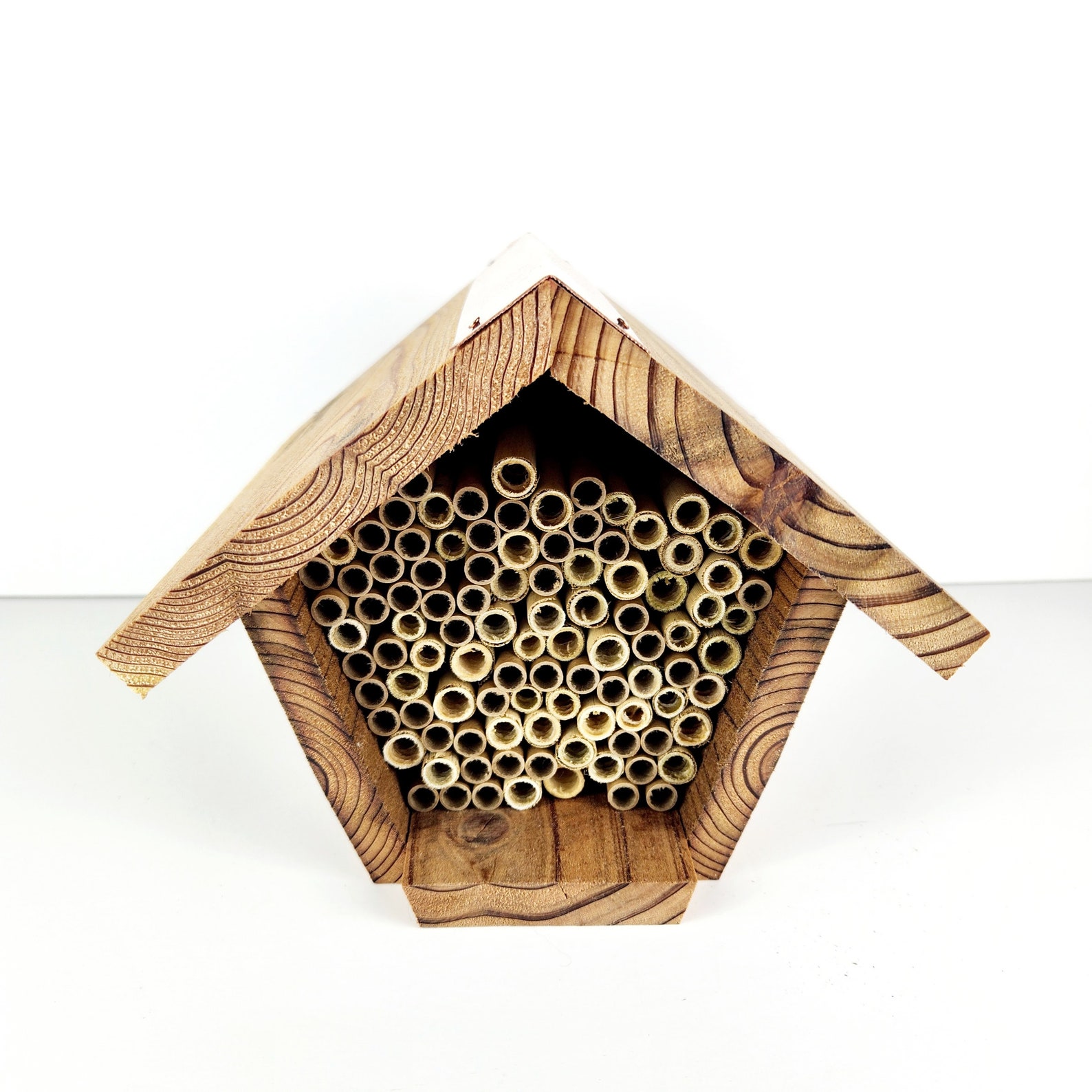 Bee Nesting Material Combo Pack Natural Phragmite Reeds and Cardboard ...