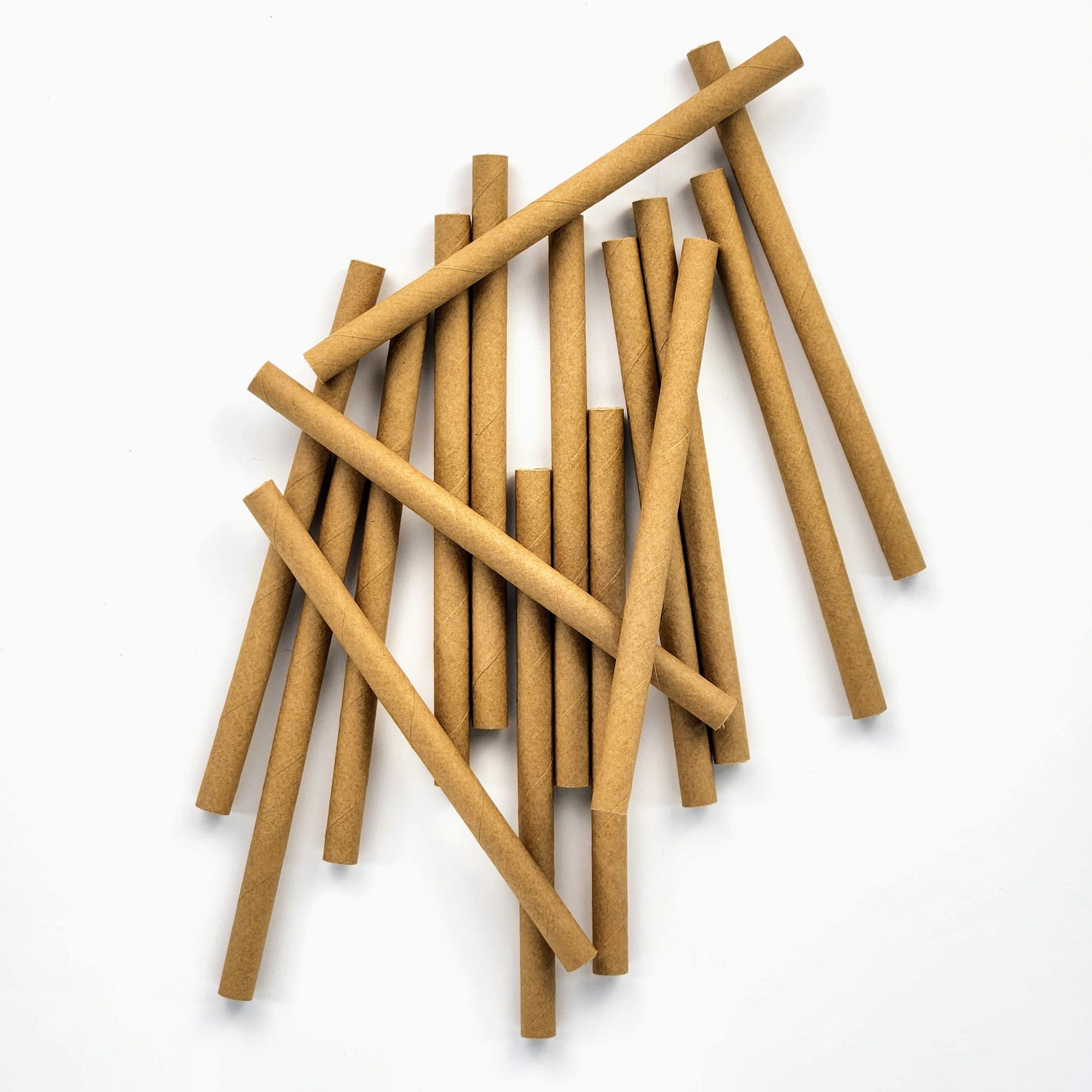 Bee Nesting Material Combo Pack Natural Phragmite Reeds and Cardboard ...