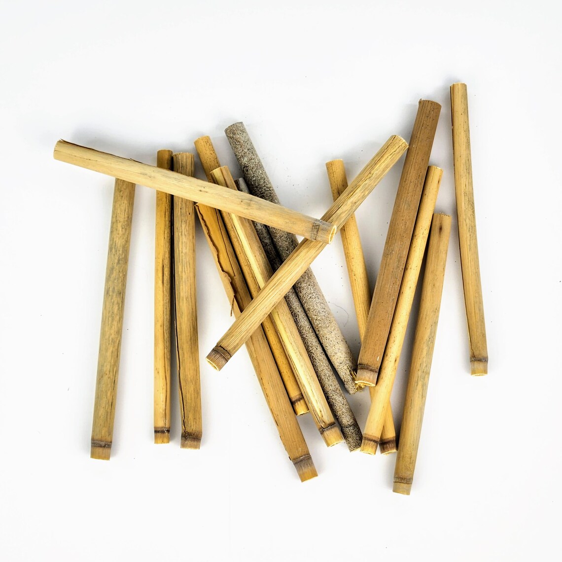 Bee Nesting Material Combo Pack Natural Phragmite Reeds and Cardboard ...