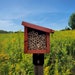 Bee Nesting Material Combo Pack Natural Phragmite Reeds and Cardboard ...
