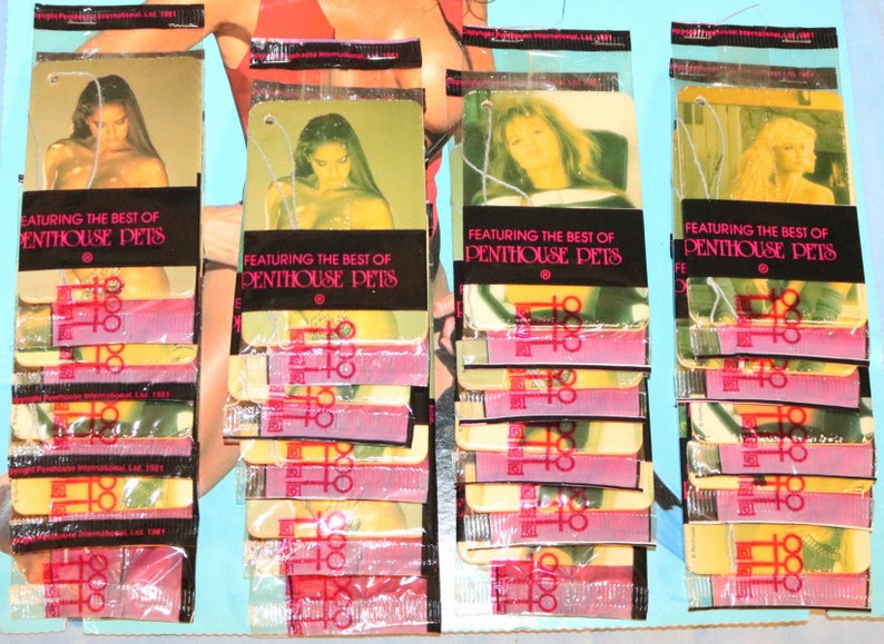 1981 Vintage the Best of Penthouse Pets Air Freshener Displays | Etsy