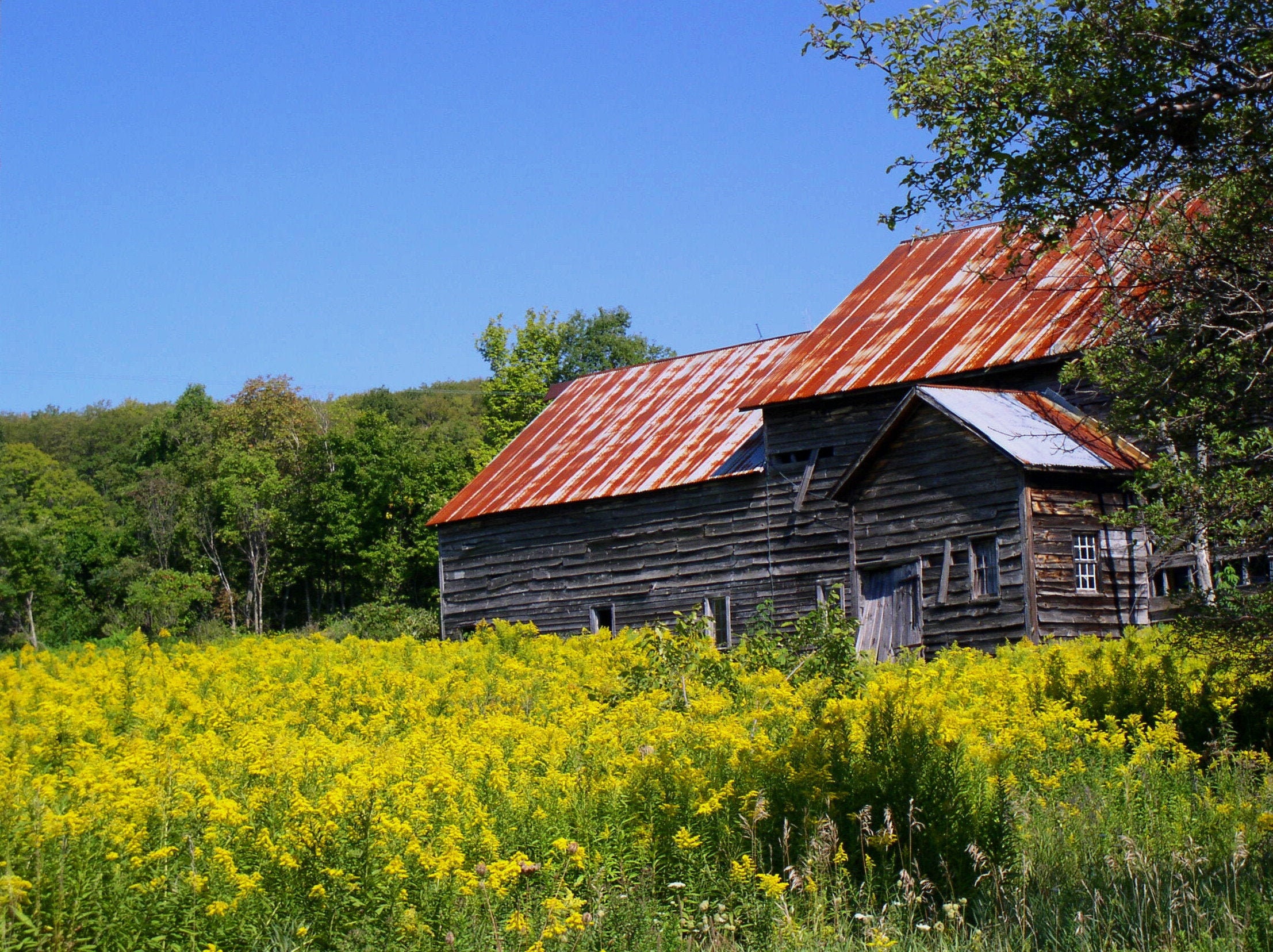 Old Gray Barn - Etsy