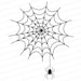 Spider Webb SVG, PNG, PDF, Dxf - Cut Files - Cricut - Halloween - Etsy